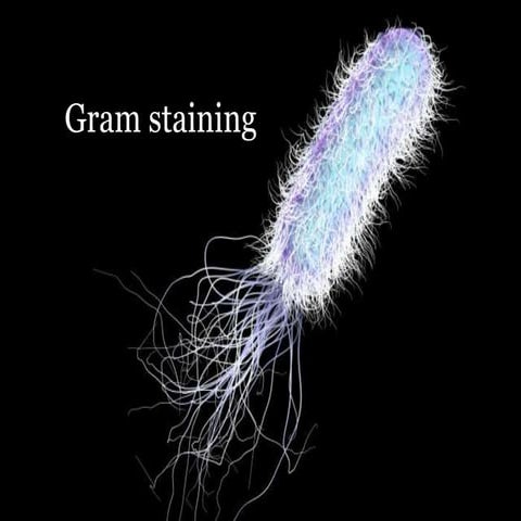 Gram staining | PPTX