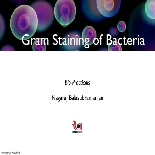 Gram Staining.pdf | Chemistry | Science