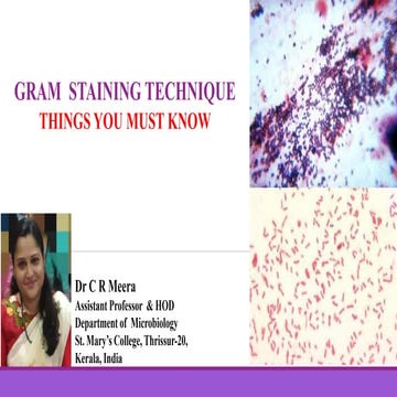 Gram Staining Technique | PPTX
