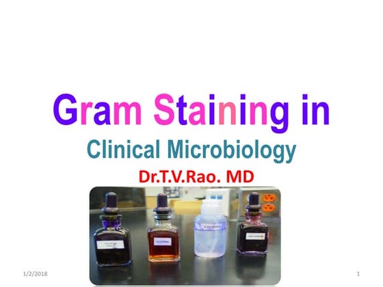 Gram staining | PDF