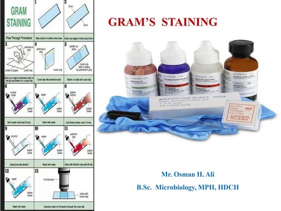 Gram positive and gram negative bacteria | PPT