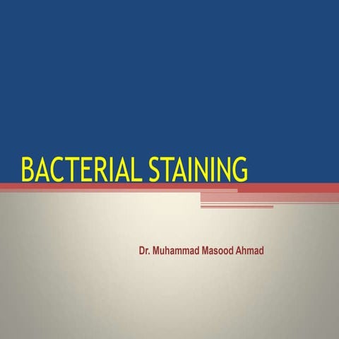 Gram Staining Technique Pptx
