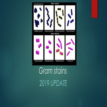 SPUTUM GRAM STAIN.pptx