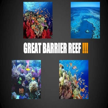 Great Barrier Reef | PPT
