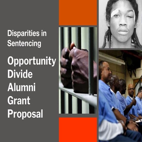 Disparities in Sentencing Grant proposal | PPT