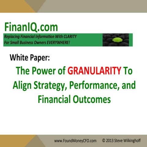 Granularity white paper | PPT