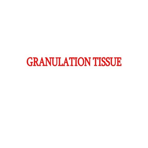 GRANULATION TISSUE.pptx
