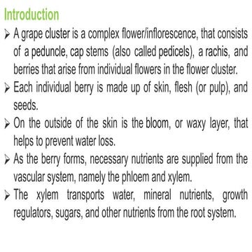 All about Grape Berry Devlopment stages.pptx