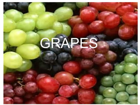 Grapes(vitis vinifera) ppt | PPT