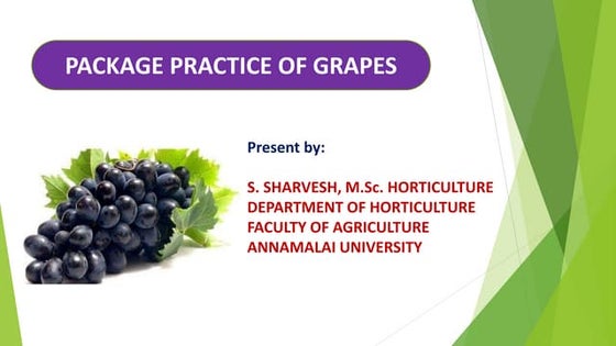 Grapes(vitis vinifera) ppt | PPTX | Agriculture | Industries