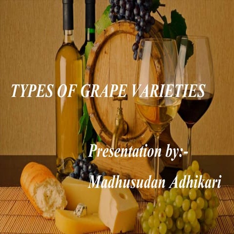 Grape varieties | PPTX | Alcoholic Beverages | Food & Drink