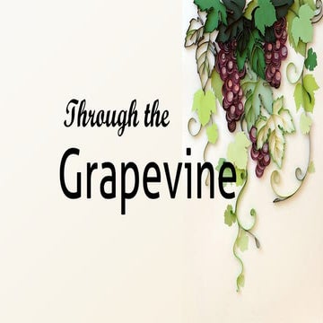 Grapevine | PDF