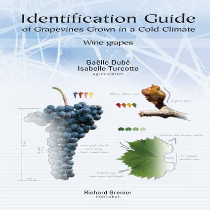 Identification guide of Grapevines Grown in a Cold Climate – Wine ...