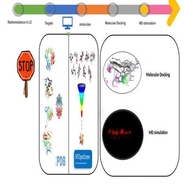 mpox-pathway-action-cards-v2.3_oct_2024.pptx