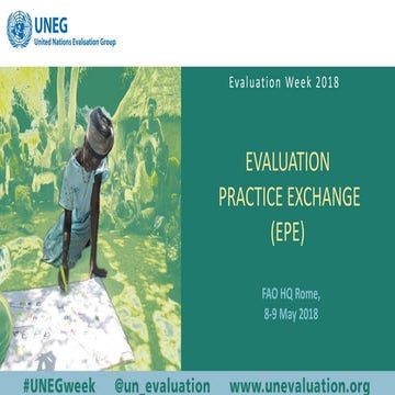 Graphic Recordings of the Evaluation Practice Exchange (EPE) at UNEG ...