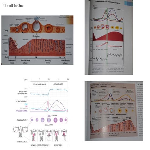 Graphic representation comparison safe | PDF