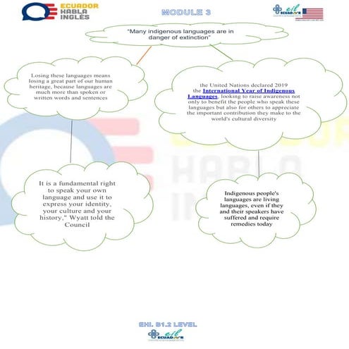 graphi organizer about losing native language.docx