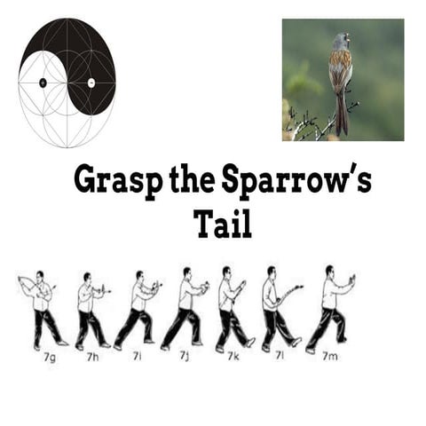 Grasp the sparrow's tail.ppt