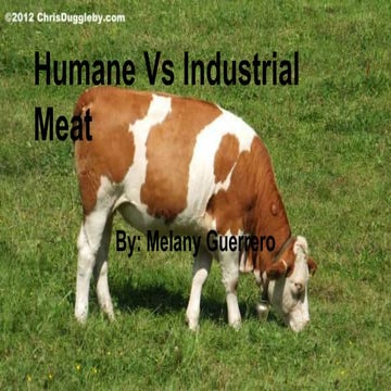 Humane vs Industrial meat | PPTX