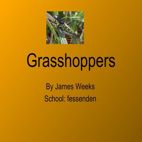 Grass hoppers1 | PPT