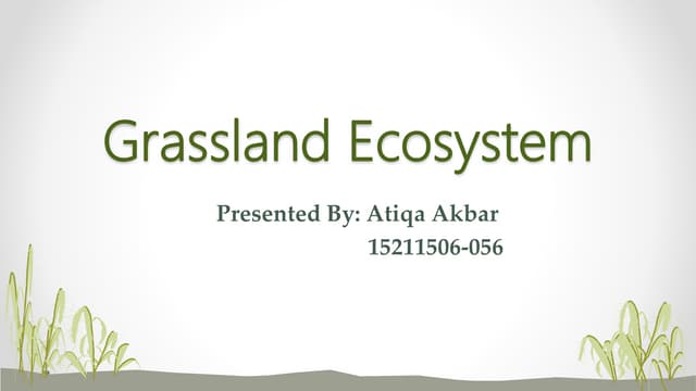 Grassland Ecosystem | PPTX