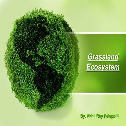 Grassland ecosystem | PPT