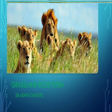 Grassland ecosystem | PDF
