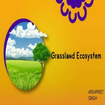 Grassland ecosystem , ecosystem, grasslands and lands | PPTX