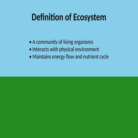 Comprehensive Overview of Grassland Ecosystems: Characteristics, Types ...
