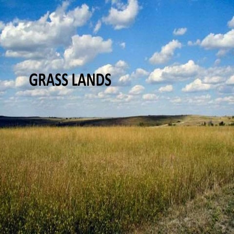 Grasslands | PPT