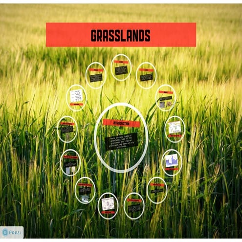 Grasslands prezi | PDF