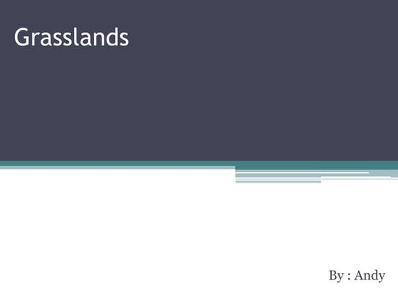 Tiger powerpoint | PPTX | Cats | Pets