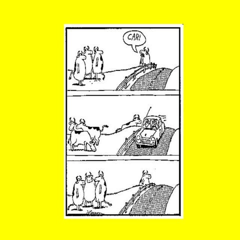 Gravity | PPT
