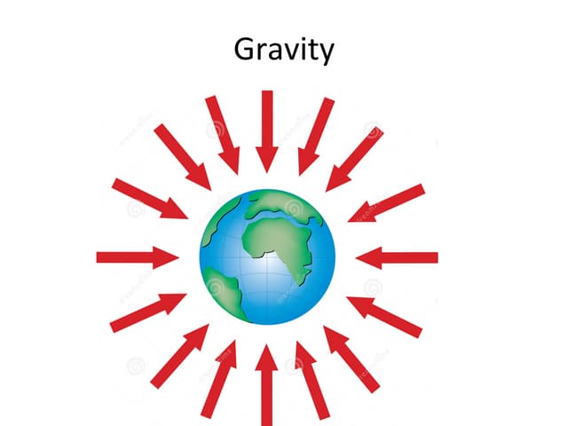 Levels of Organization grade 7.ppt