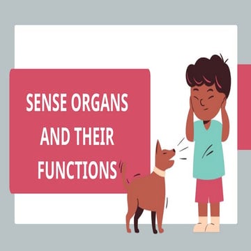 Sense organs. Eye, Ear, nose, skin and tongue | PPTX