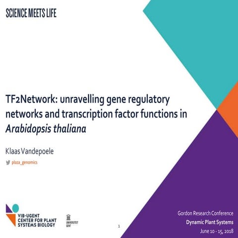 TF2Network: unravelling gene regulatory networks and transcription factor functions in ...