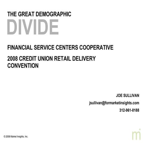 Great Demographic Divide: 6-11-2008 | PPT