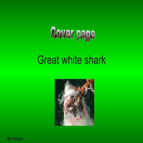 Great White Shark | PPT