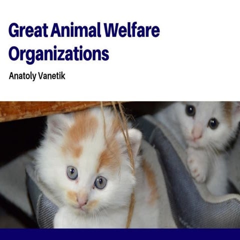 Animals Galore | PDF