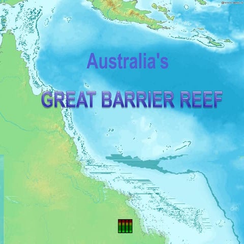 Great barrier reef