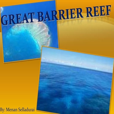 Great Barrier Reef | PPTX | Australia and Oceania Travel | Travel Locations