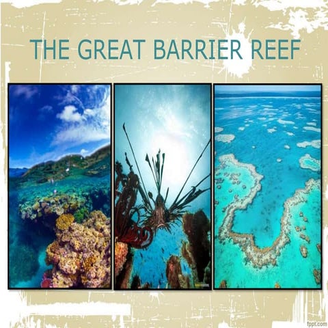 Great barrier reef | PPTX | Australia and Oceania Travel | Travel Locations