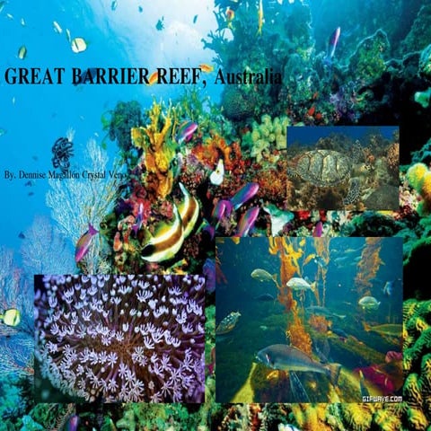 Great barrier reef | PPT
