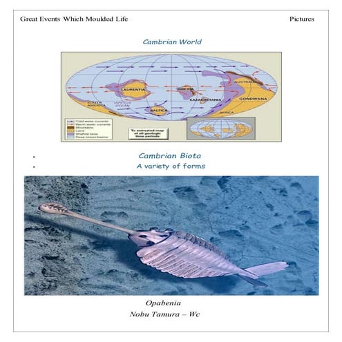Great events which moulded life- pictures-cambrian period | DOCX