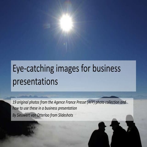 Eye-catching images for business presentations | PPTX | Birdwatching ...