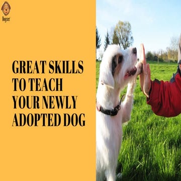 GREAT SKILL TO TEACH YOUR NEWLY ADOPTED DOG. | PPT