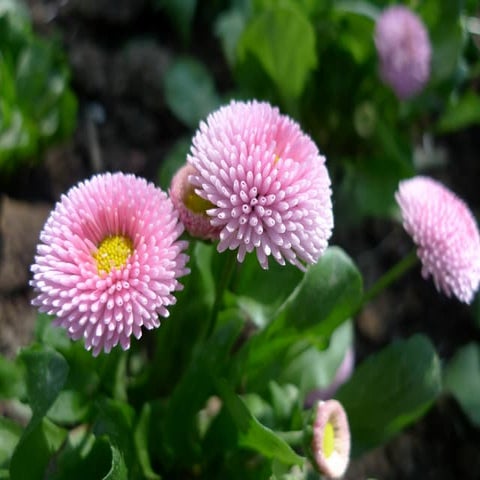 万里长城 Romance With The Great Wall & Beethoven | PPS