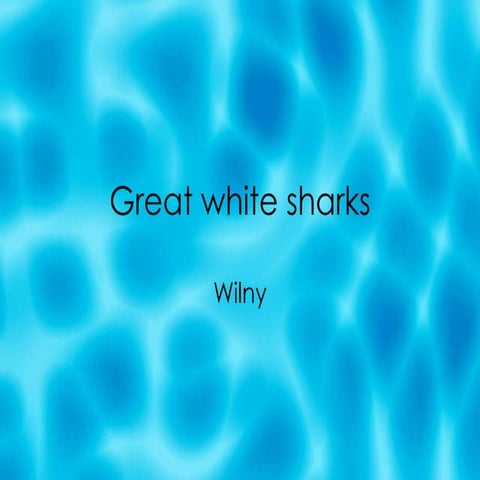 Great white shark | PPT