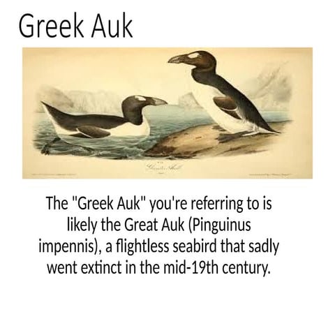 Greek Auk-WPS Office.pptxxxxxxxxxxxxxxzz | PPTX