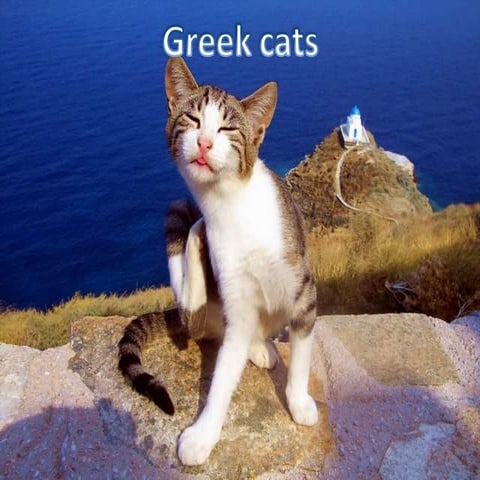 Greek cats | PPT